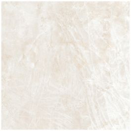 Taj Mahal Cream 24x24" Polished Ultra Clean