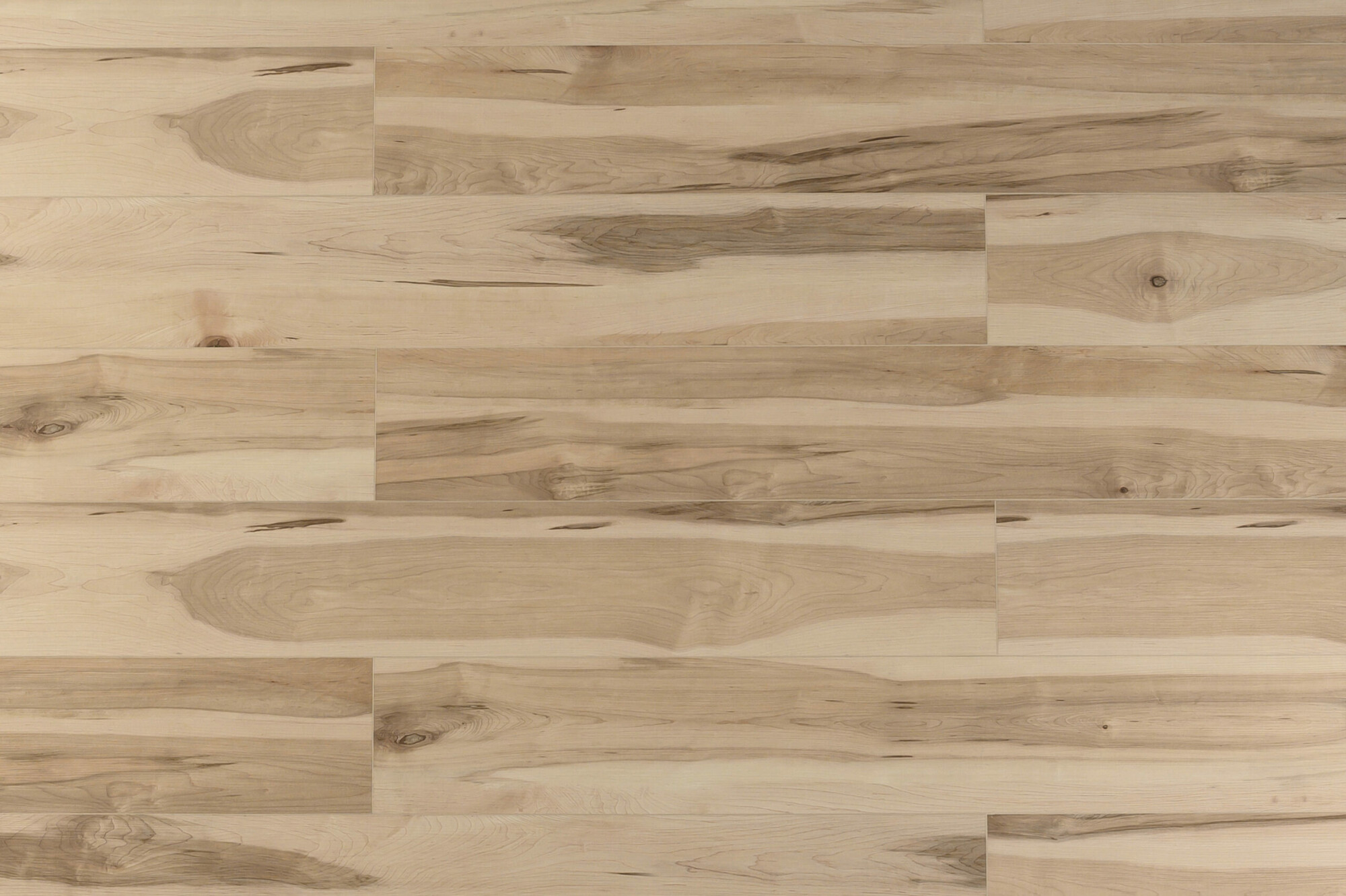 Toucan 6 Series - SALE - Tile Stone Source